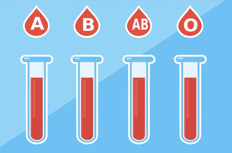 Guide To The Different Blood Types - Eleven Magazine