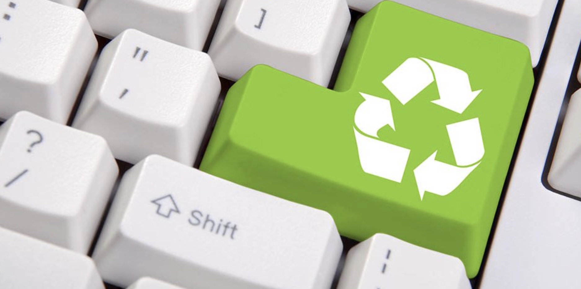 How to Set up A Recycle Program for Your Business