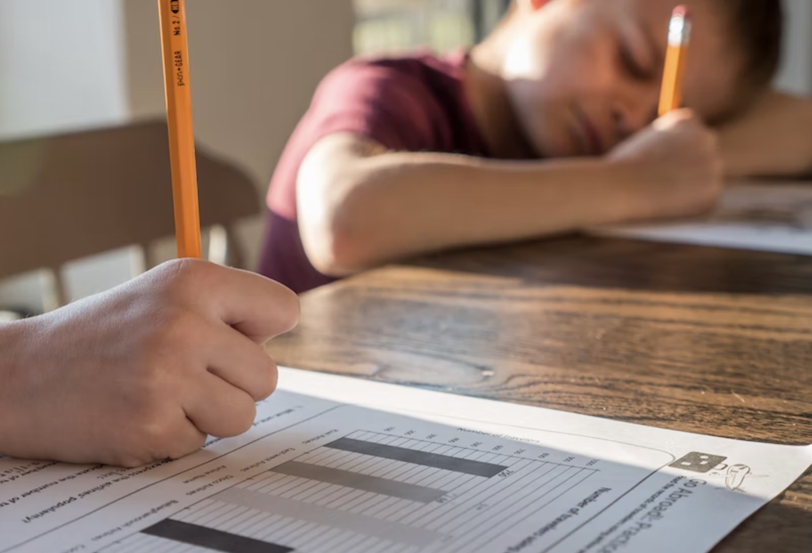 Using Online Assignment Assistance to Enhance Learning: Best Practices