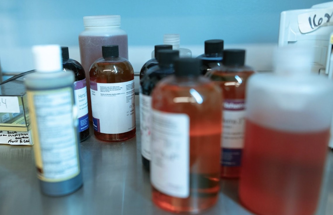 5 Ways to Reduce Harmful Chemicals in Your Life