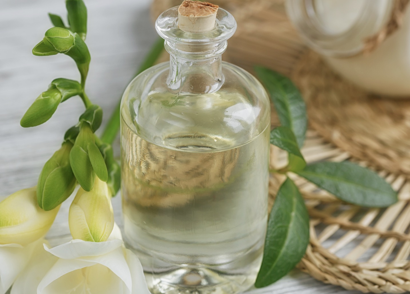 Captivating Floral Fragrances: A Guide to the World of Floral Perfumes